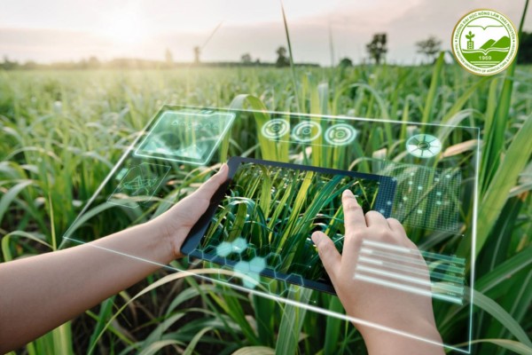 Nông Nghiệp Thông Minh Là Gì Tương Lai Của Ngành Nông Nghiệp